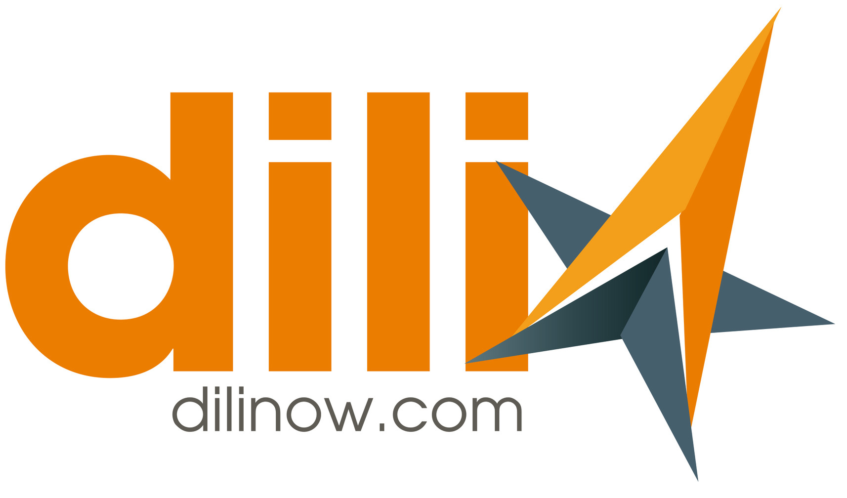 Dili – No Cost EMI for Personal & Professional Growth
